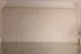 Say Goodbye to Fridge Condensation: Main Causes & Smart Fixes - HomelyVille